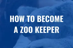 How to Become a Zookeeper (Career Overview for 2022!)